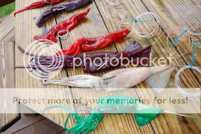 Sword Rigging | Tidal Fish Forum