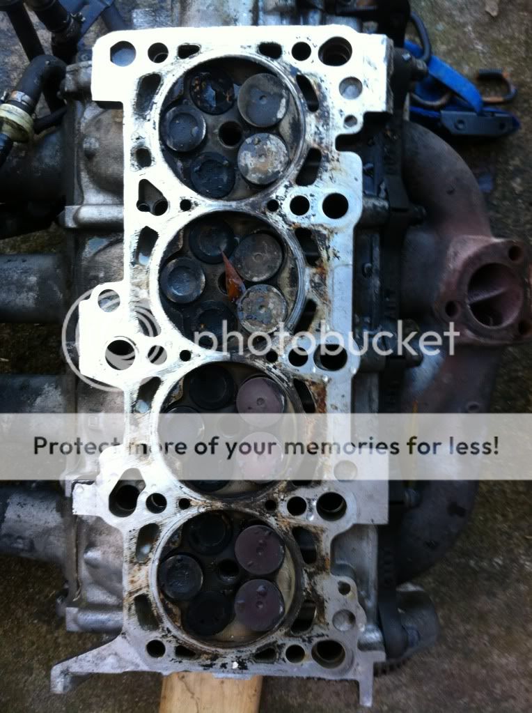 FS: AWP head bent valves, 06A block, ETC... CHARLOTTE, NC | VW Vortex ...