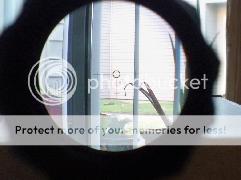 Optisan Mamba 1-4x24 Review > Optics, Mounts, and Sights > AR15.COM