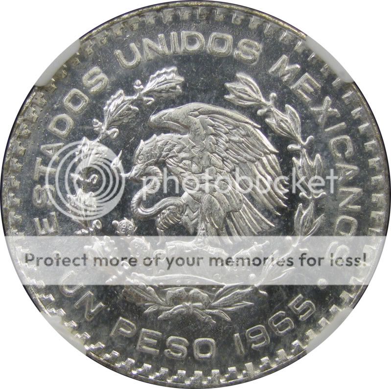 Thought I'd share some new Mexican Silver pickups with you :) | Coin Talk