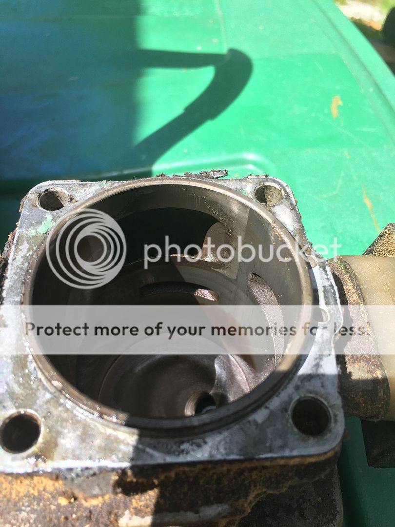 394 teardown thread | Arborist, Chainsaw & Tree Work Forum