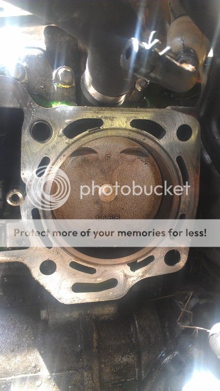 HELP!! Loud knocking from engine at idle | Kawasaki ATV Forum