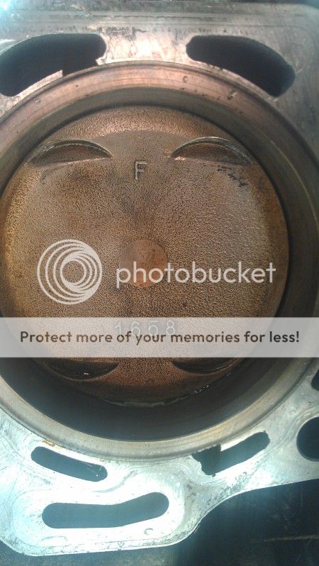 HELP!! Loud knocking from engine at idle | Kawasaki ATV Forum